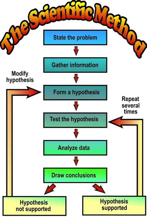 Sort The Five Steps Of The Scientific Method