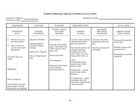 Nursing Care Plan Format Explanation