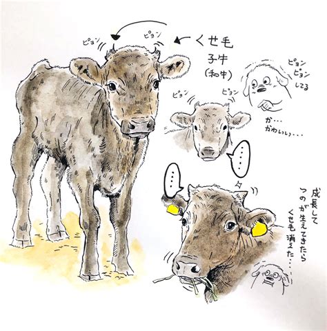牛川いぬお 九州の酪農従業員 Tdqfrytrujy7zxr さんのイラスト・マンガ作品まとめ 350 件 Twoucan