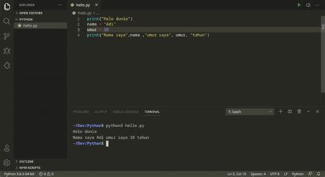 Menulis Dan Menjalankan Script Python Invasikode