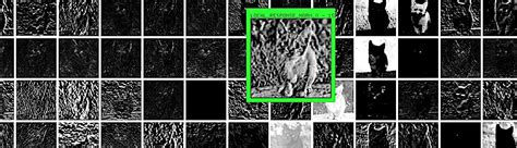 why convolutional neural networks are the go to models in