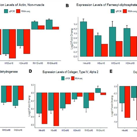 Comparison Of Gene Expression Data Between Rna Seq And Quantitative