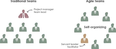 cross functional vs self organizing vs feature vs component teams in agile