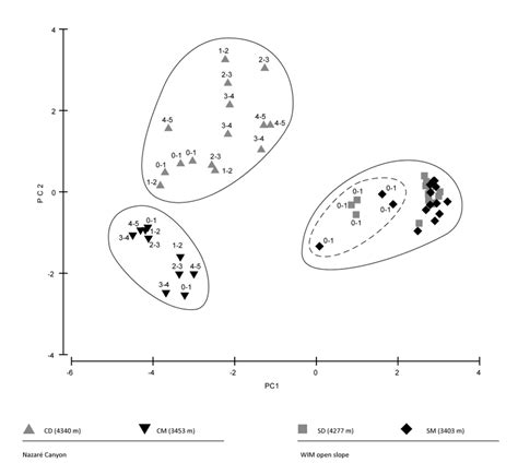 Pca Based On Euclidean Distance Values Of Log 0 1 X Transformed