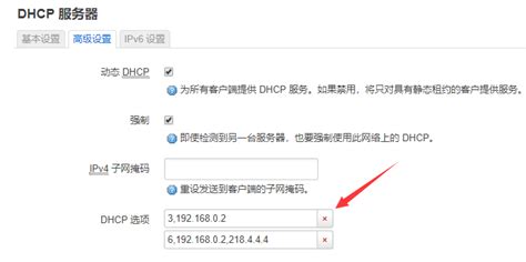 Dhcp Options On Openwrt Lsgxeva 博客园