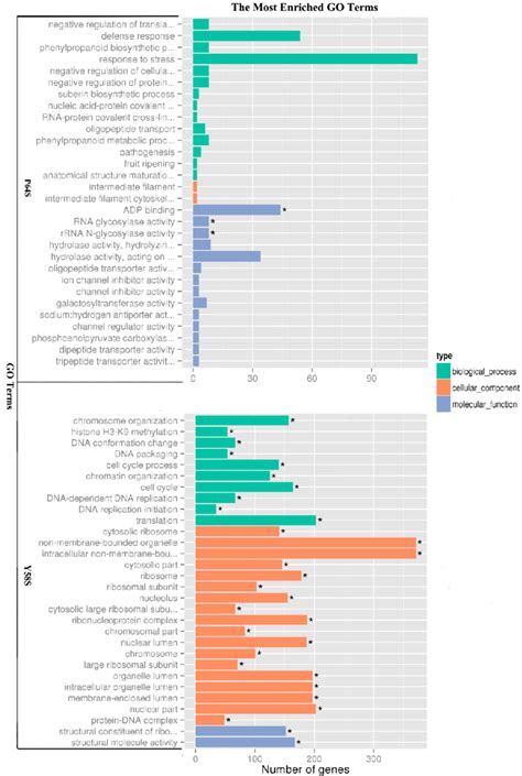 Gene Ontology Go Classifications Of Differentially Expressed Genes