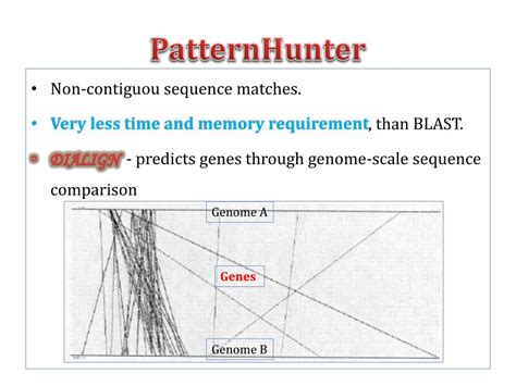 Ppt Computational Genome Annotation Powerpoint Presentation Free