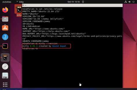 How To Install Kitty Terminal On Ubuntu 22 04 Or 20 04 Linux Shout