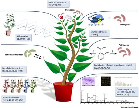 Omic Relief For The Biotically Stressed Metabolomics Of Plant Biotic