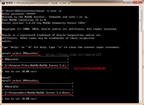 windows下的mysql配置文件在哪 csdn博客