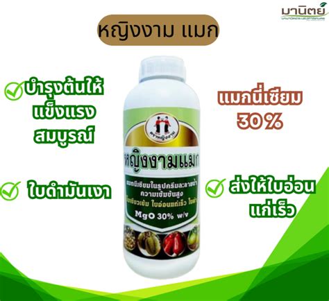หญิงงามแมก ความเข้มข้นสูง ช่วยให้ใบแก่เร็วใน 7 วัน แมกนีเซียม 30 ขนาด