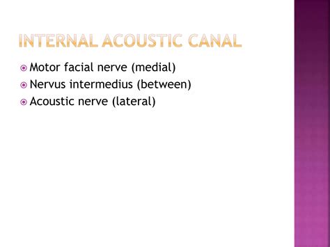 Facial Nerve Ppt