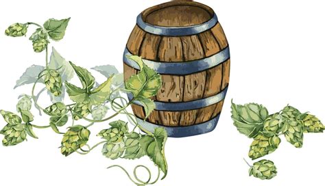 Banner Of Wooden Beer Barrel And Hop Vine Watercolor Illustration