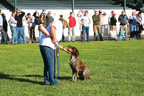 field and retrieving sporting shooters association of australia