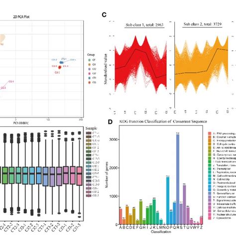 Transcriptome Sequencing And Functional Analysis Of Degs In Ct And Cj