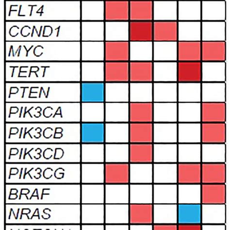 Genes With Recurrent Copy Number Alterations Across All Seven External
