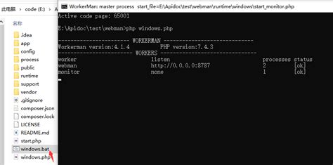 webman安装apidoc教程 apidoc