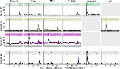 figures and data in sex specific processing of social cues in the