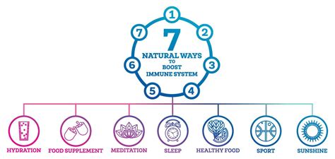 How To Boost Your Immune System Infographic Elements Isolated On White