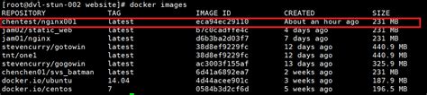 dockerfile创建一个nginx容器的全过程 阿里云开发者社区