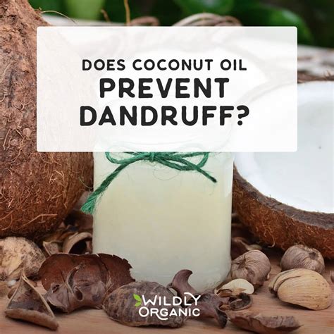 How To Use Coconut Oil For Dandruff Wildly Organic