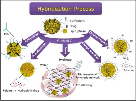 Schematic Representation Of Different Lipid Nanoparticles Sln Nlc