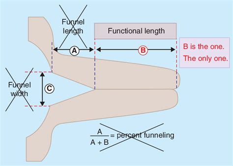 Measurements Of The Cervix With Funneling A Funnel Length B