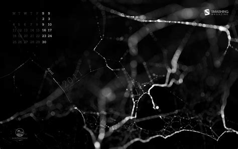2011년 4월 달력 배경 화면 2 5 1920x1200 배경 화면 다운로드 2011년 4월 달력 배경 화면 2