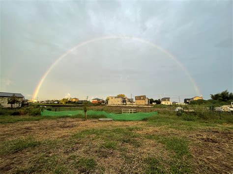 雨のあとには
