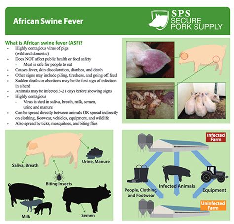 Iowa Pork Industry Center • Diseases And Health • Iowa State University