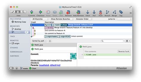 tutorial git and github source tree iii git workflow