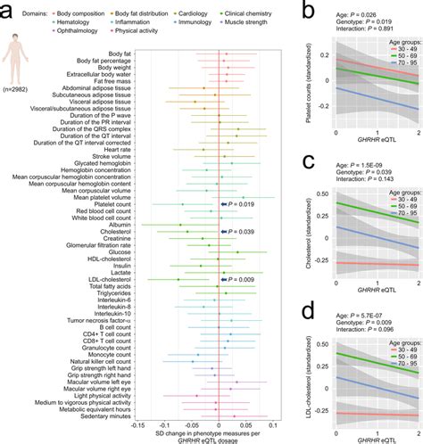 Ghrhr Eqtl Effects On Aging Associated Phenotypes In Humans A D