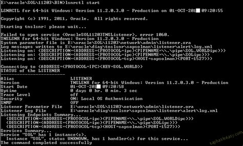 upgrading sap oracle database sap basis easy