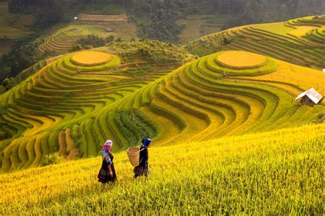 棚田の風景 ベトナムの風景 Beautiful 世界の絶景 美しい景色