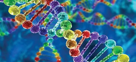 One Day Symposium Advances In Bioinformatics In Post Genomic Era Qau