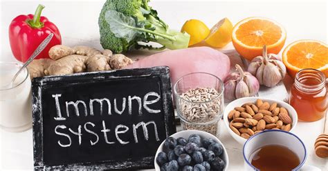 How To Build A Immune System Builders Villa