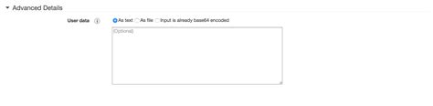 spring boot application on ec2 zoltan altfatter