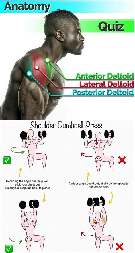How To Delts Exercises Sets And Reps Guide