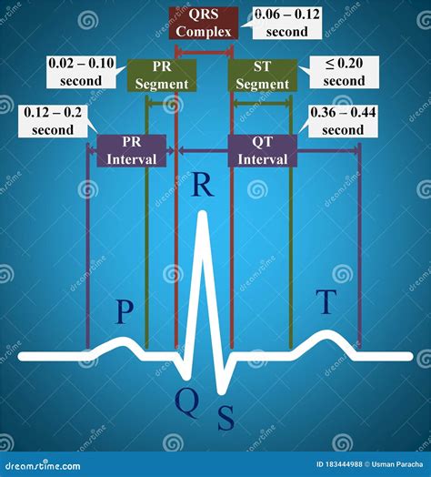 Ecg Or Electrocardiogram Showing Normal Time Duration Stock