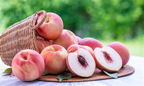 Manfaat Mengkonsumsi Buah Persik Berikut 5 Manfaat Buah Persik Yang