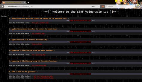 ssrf vulnerable lab