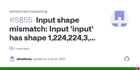 input shape mismatch input input has shape 1 224 224 3 but input