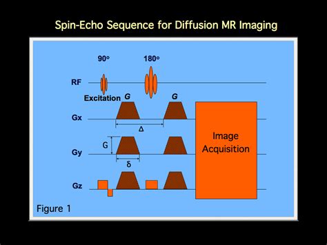 Mri Blog Diffusion Weighted Mr Imaging