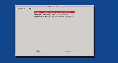 create gui dialog boxes in bash scripts with whiptail ostechnix