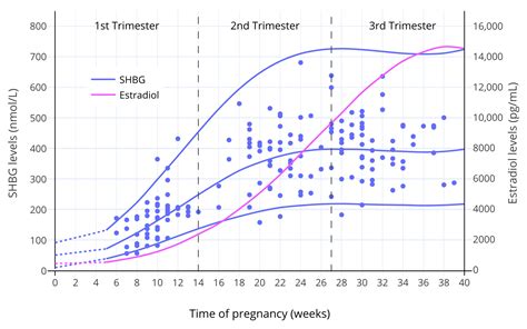 the interactions of sex hormones with sex hormone binding