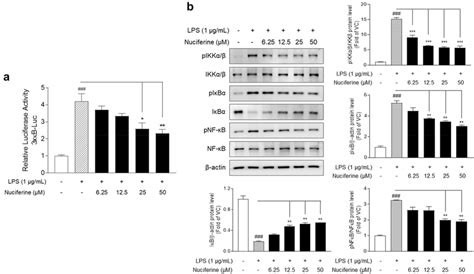 Effects Of Nuciferine On Nf κb Activation In Raw 264 7 Cells A Cells
