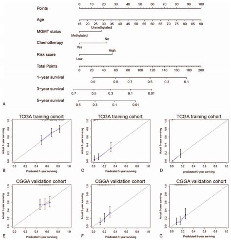 Construction And Validation Of A Nomogram A A Normogram Was