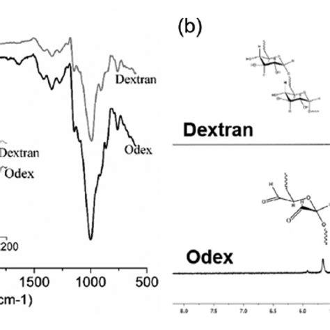 Ftir Spectra Of A Tc And Chitosan B Hydrogel The Inset Graph