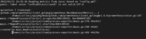 panic：label value is not valid utf 8 · issue 227 · ncabatoff process