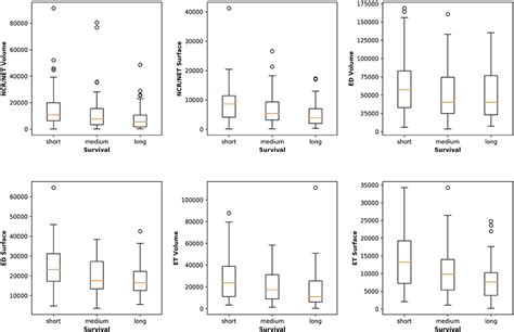 frontiers brain tumor segmentation using an ensemble of 3d u nets and